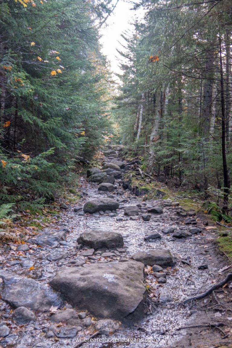 How To Hike Mount Marcy Via Van Hoevenberg Trail