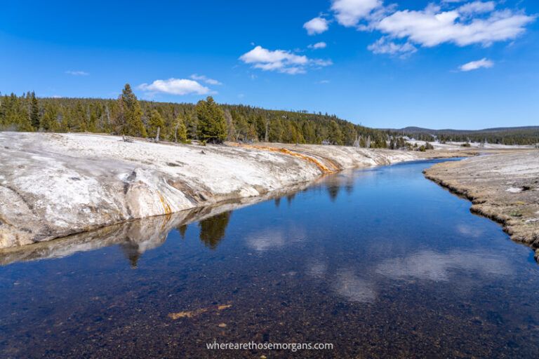 Yellowstone: Essential Travel Guide For First Time Visitors