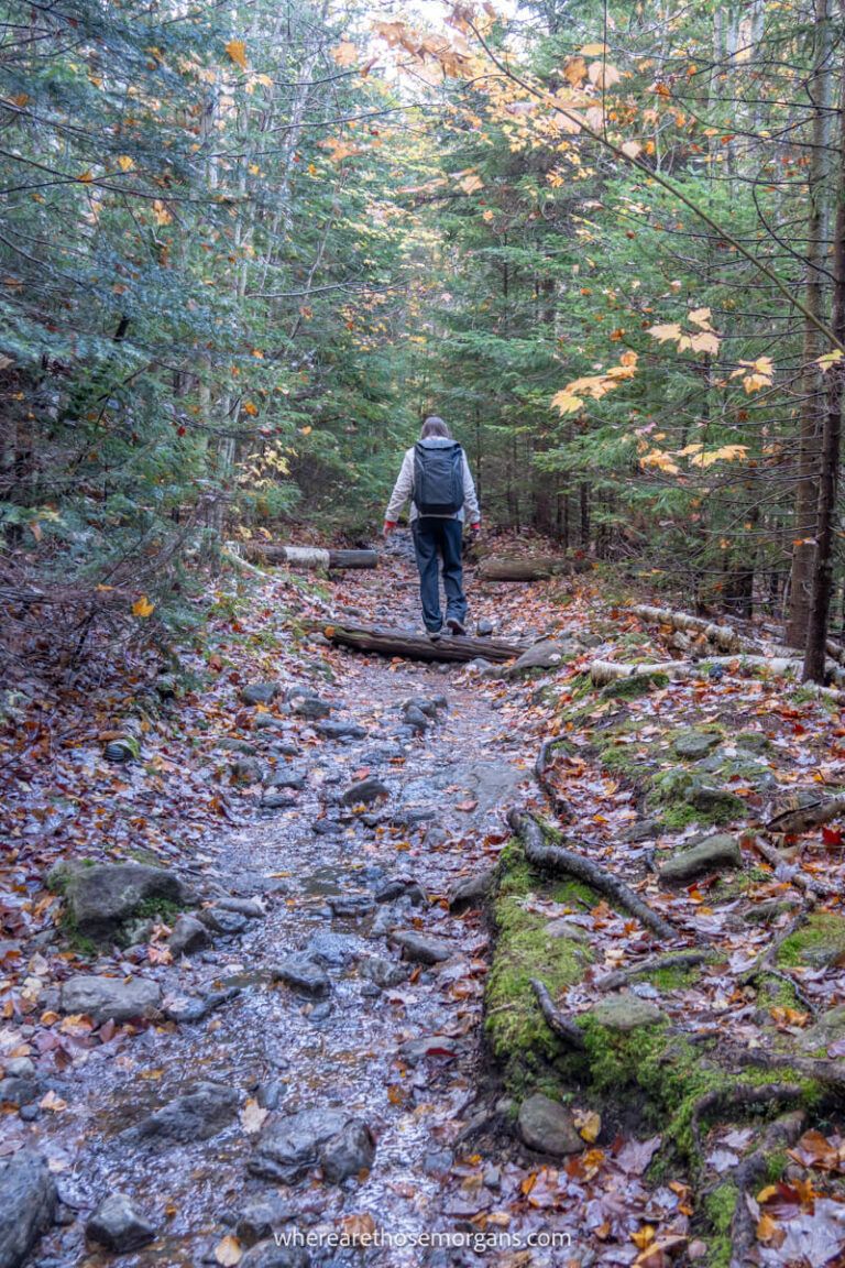 How To Hike Mount Marcy Via Van Hoevenberg Trail
