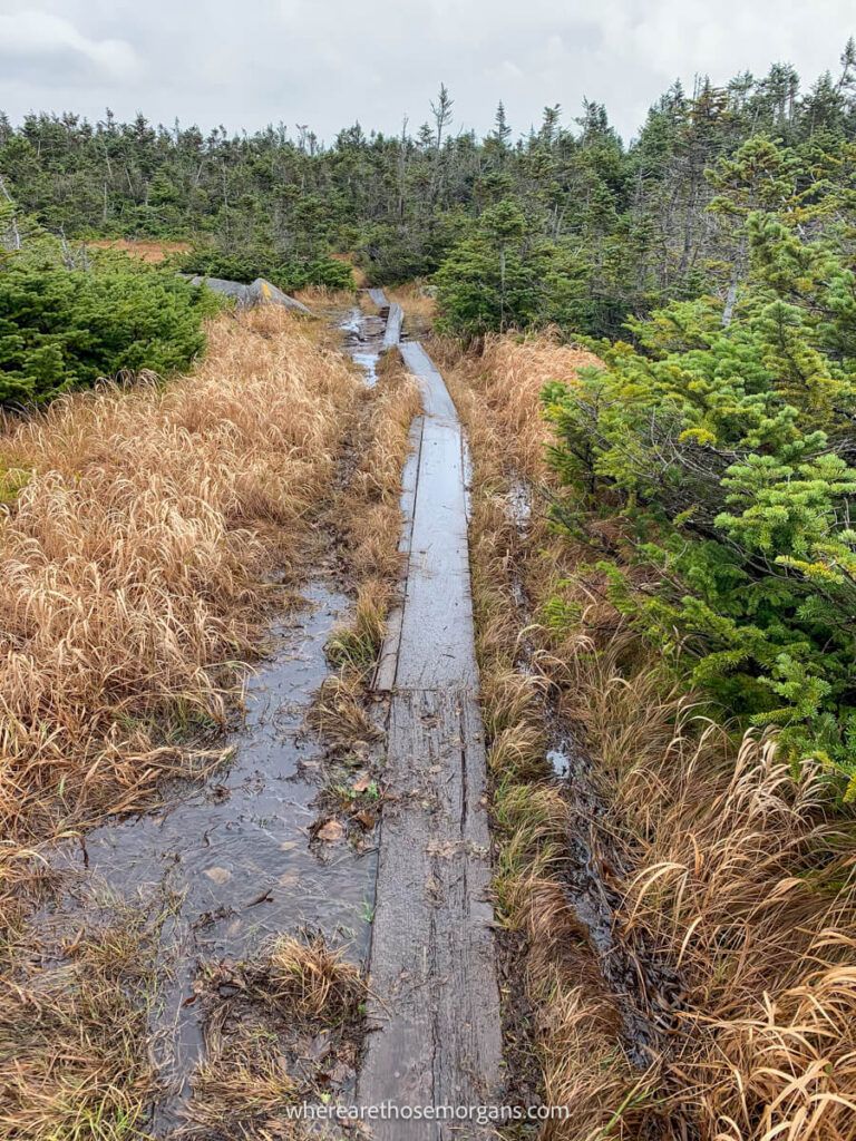 How To Hike Mount Marcy Via Van Hoevenberg Trail