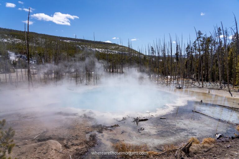 Yellowstone: Essential Travel Guide For First Time Visitors