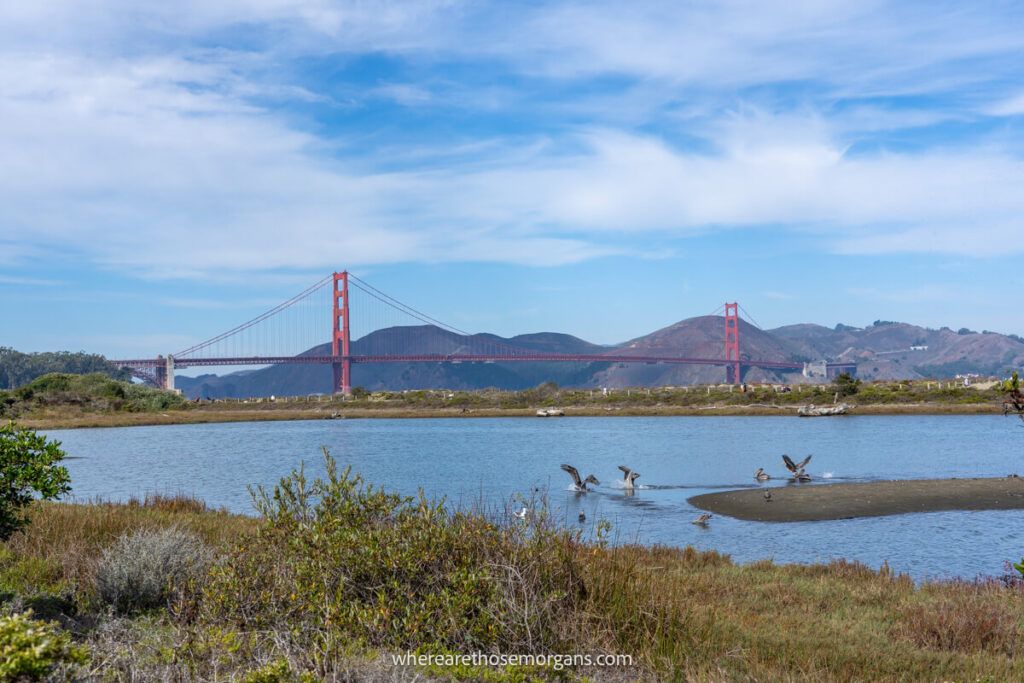 10 Unmissable Golden Gate Bridge Viewpoints