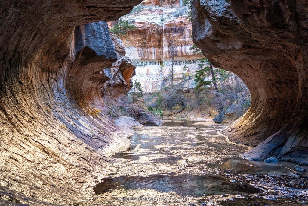 How To Day Hike The Zion Subway (Bottom Up)