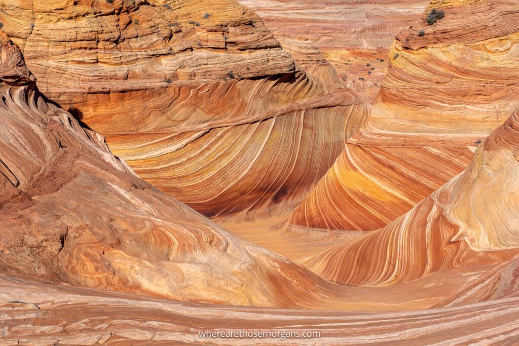 Essential Guide To Hiking The Wave In Arizona