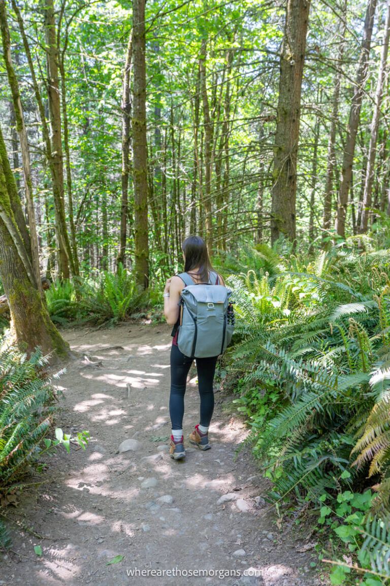 How To Hike Poo Poo Point Trail Near Seattle