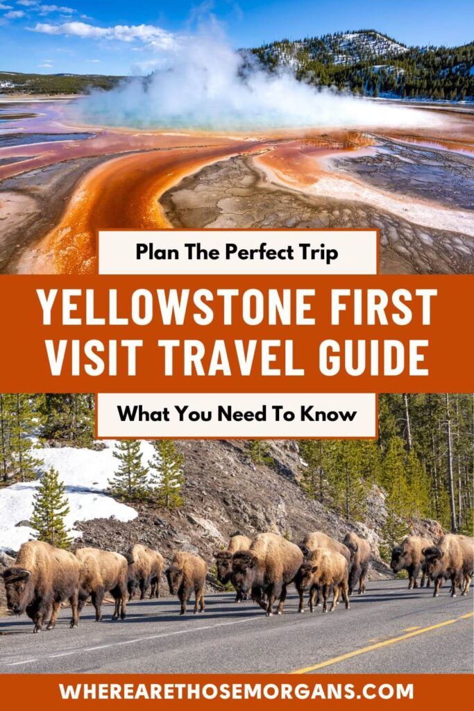Yellowstone: Essential Travel Guide For First Time Visitors