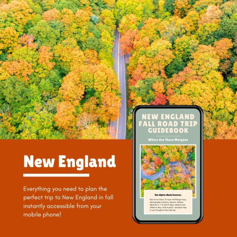 Artists Bluff Trail NH: Short Hike To Stunning Views