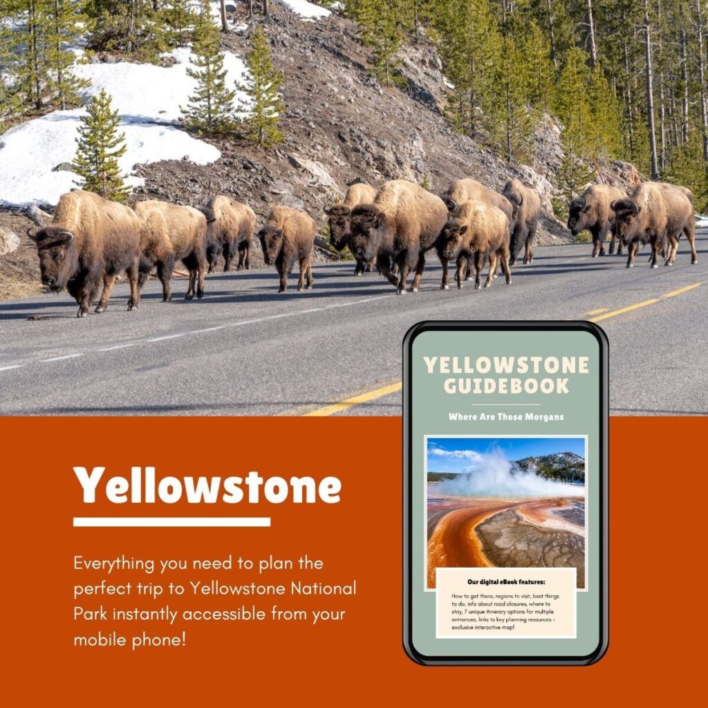 10 Things To Know About Visiting Yellowstone In April