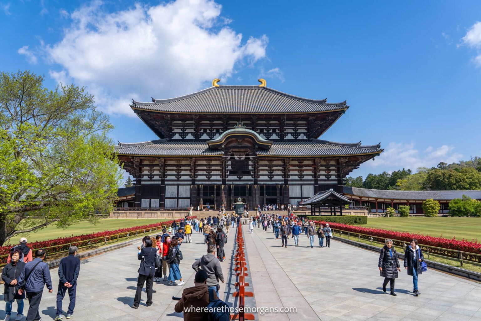 Exactly What To Do In Nara For First Time Visitors