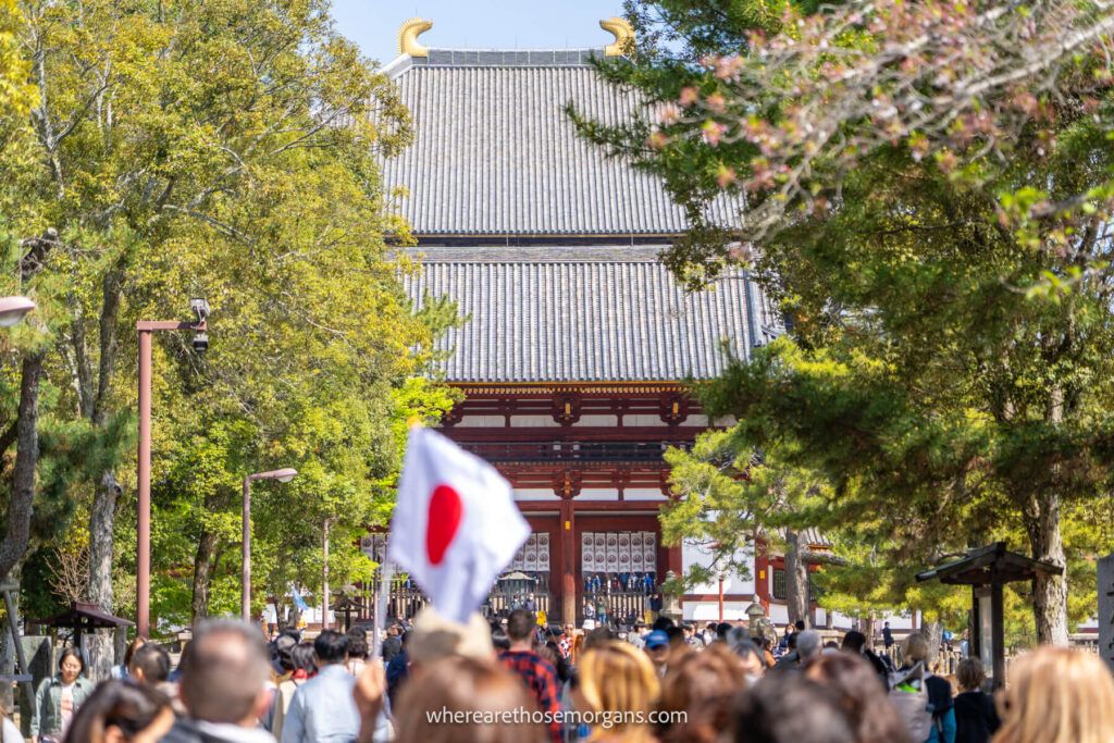 Exactly What To Do In Nara For First Time Visitors