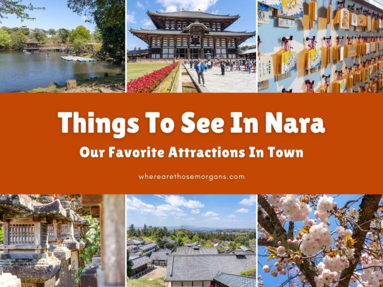 Exactly What To Do In Nara For First Time Visitors
