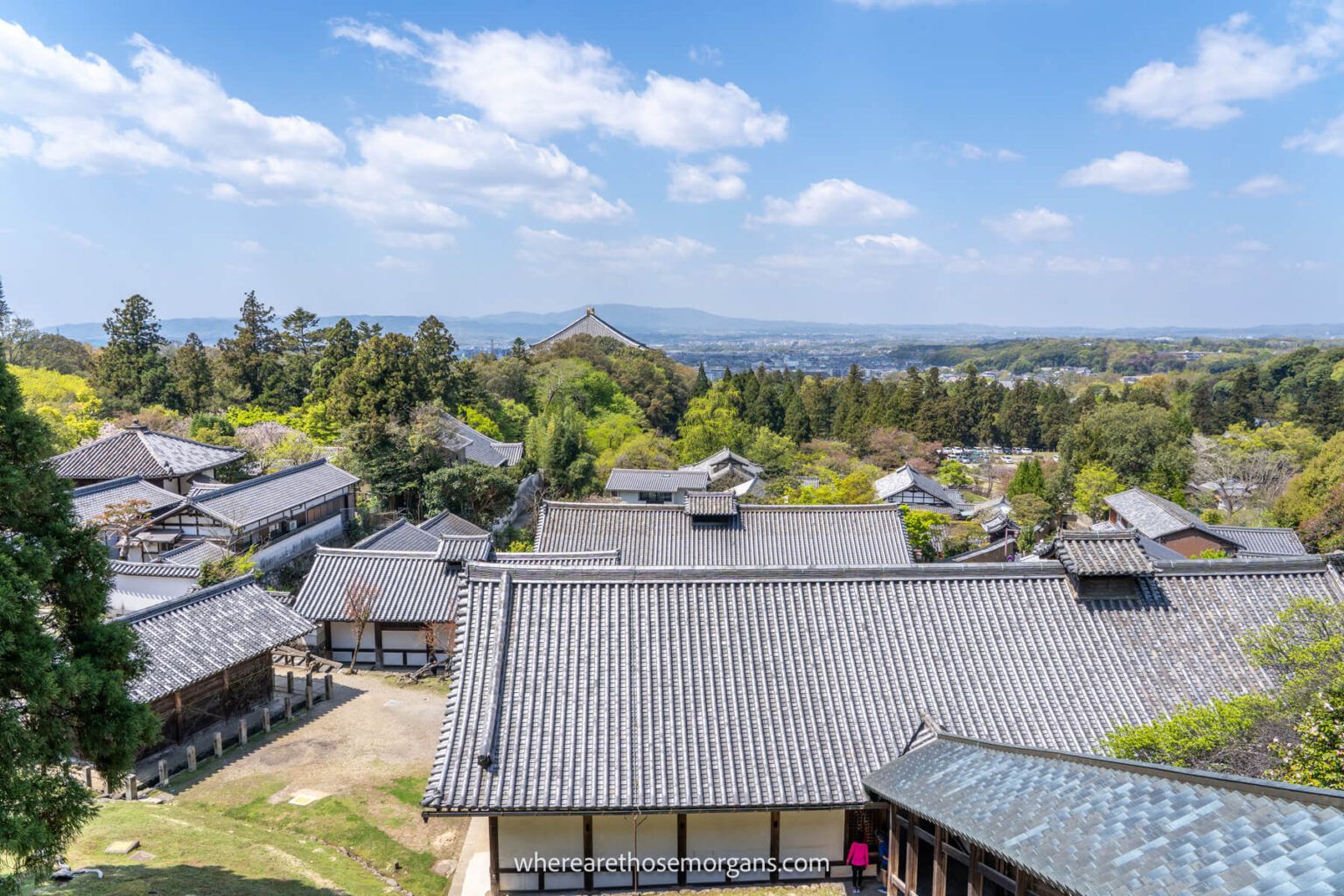 Exactly What To Do In Nara For First Time Visitors
