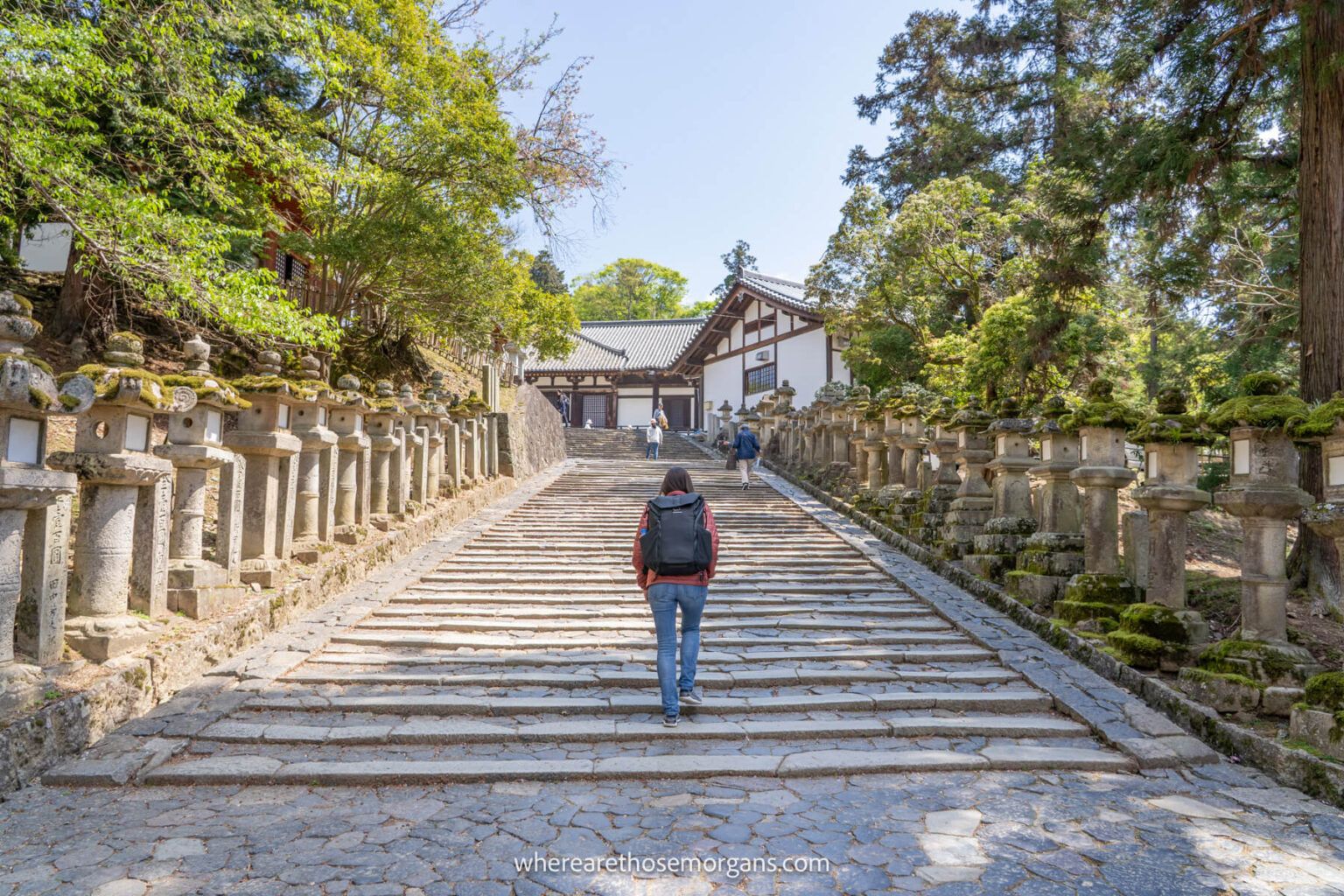 Exactly What To Do In Nara For First Time Visitors