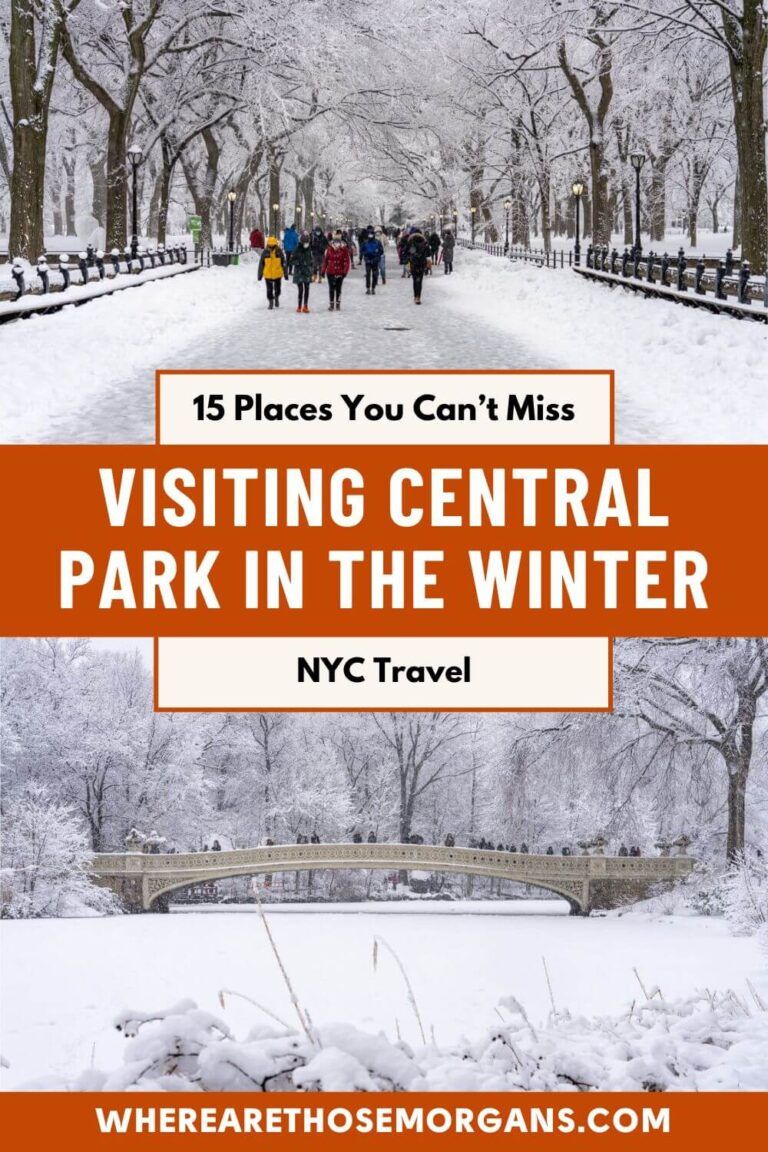 Central Park Snow Day Spots You Can't Miss In Winter