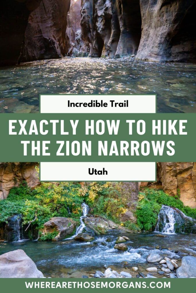 Exactly How To Day Hike The Narrows Bottom Up In Zion