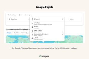 Easy Things You Can Do To Find + Book Cheaper Flights