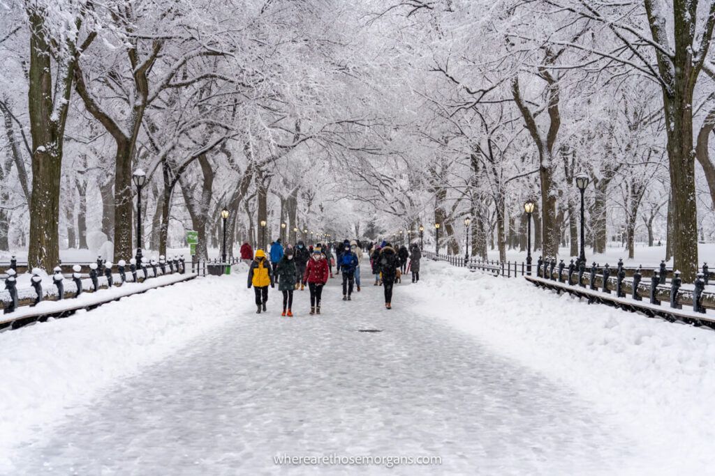 Central Park Snow Day Spots You Can't Miss In Winter